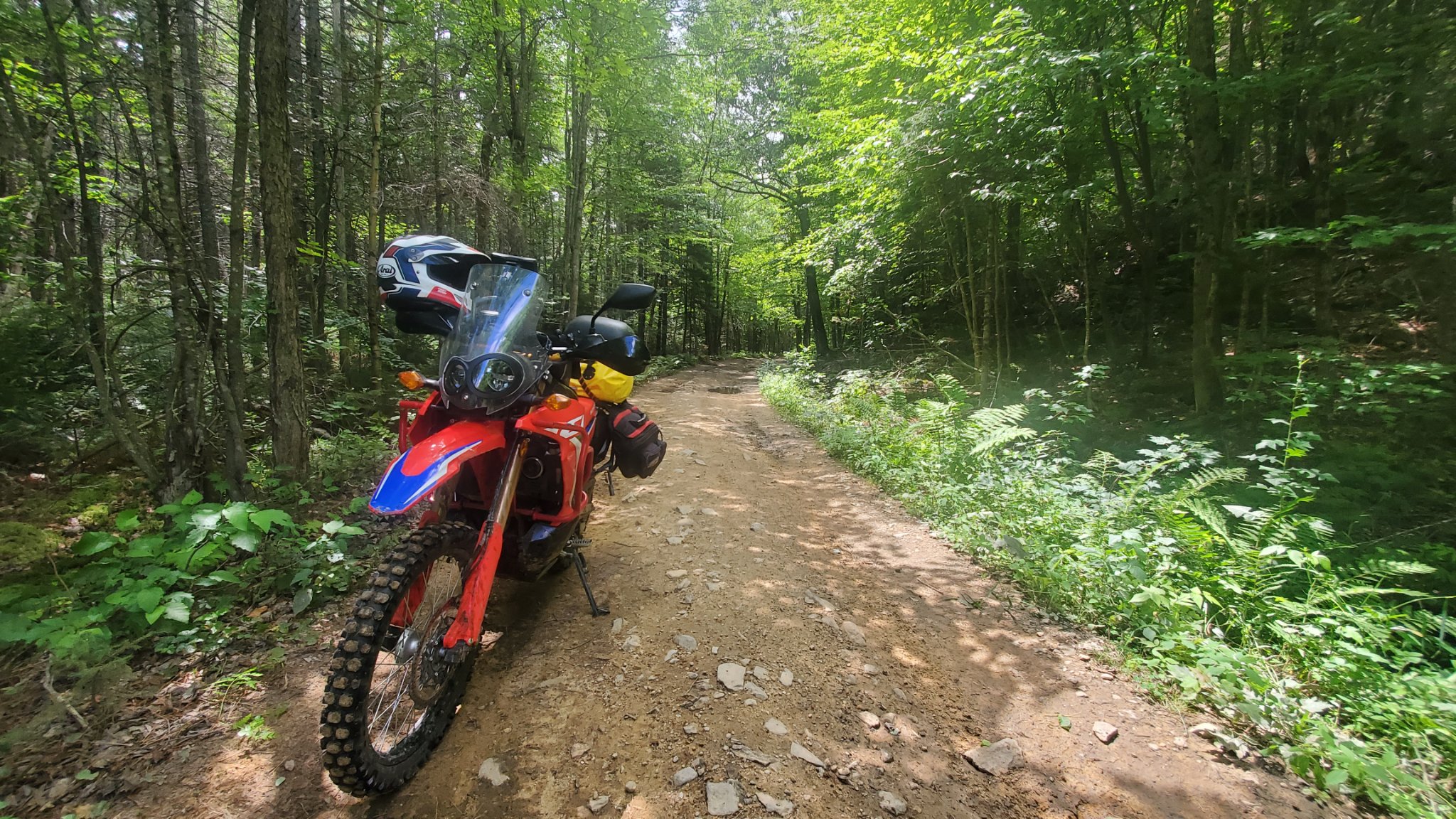 Piccadilly Pineapple Adventure Trail | New England Sport Touring